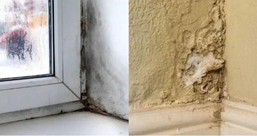 8 trucos inteligentes para eliminar la humedad de tu hogar de una vez ...